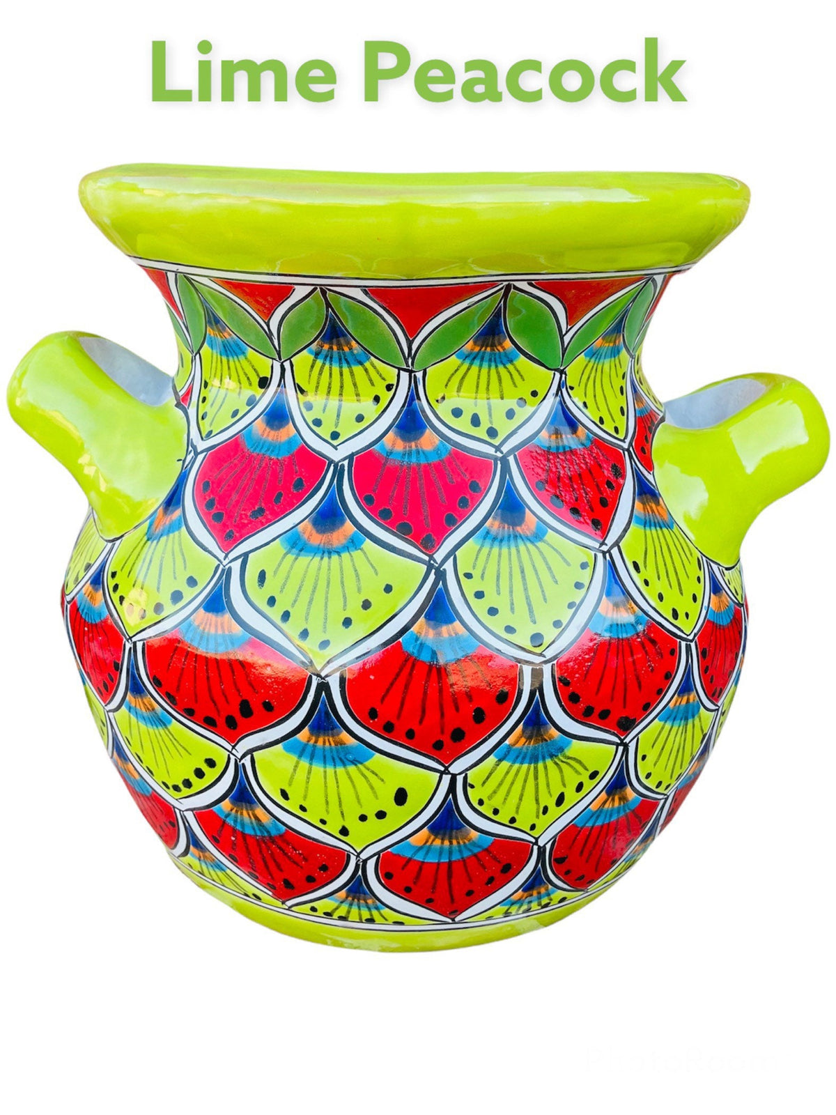 Morelia Style Medium Talavera Planter | Rosa's Garden Shop